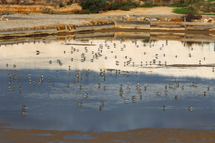 ALBUFEIRA (Algarve, Portugal) | Reiseführer 2025