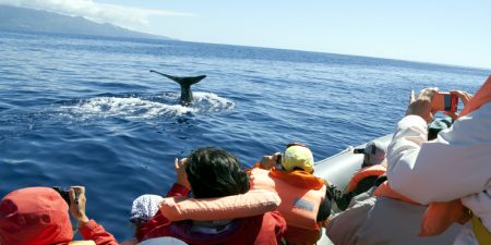 AZOREN: Portugals Atlantikinseln - Reiseführer (2025)